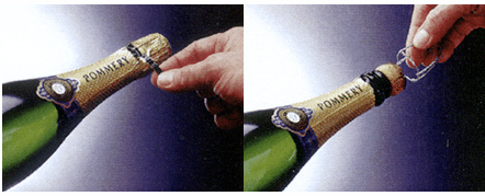The Art of Sabering a Champagne Bottle – A Party in My Pantry