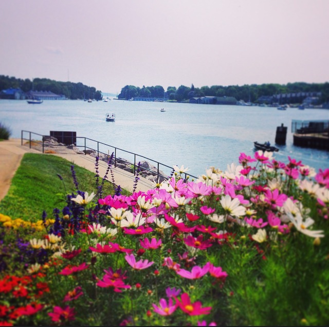 Michigan Summer Sundae – A Party in My Pantry